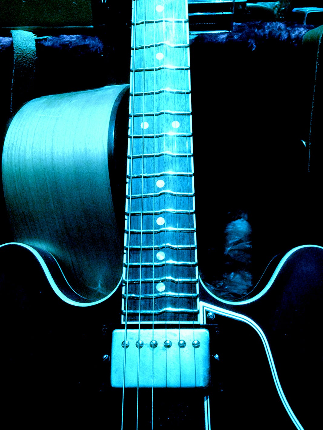 ROINE STOLT HOME THE FLOWER KINGS