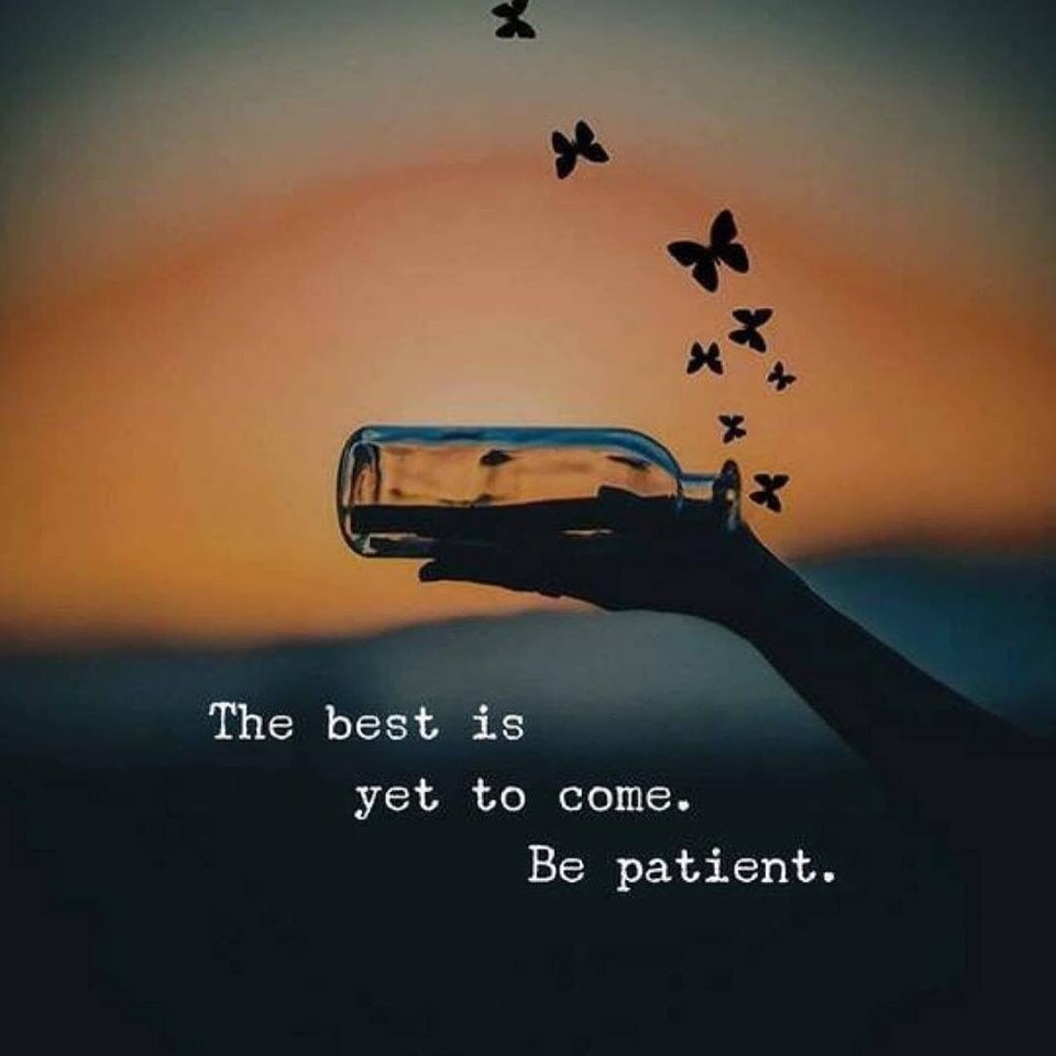 roine stolt news | HOME OF THE FLOWER KINGS